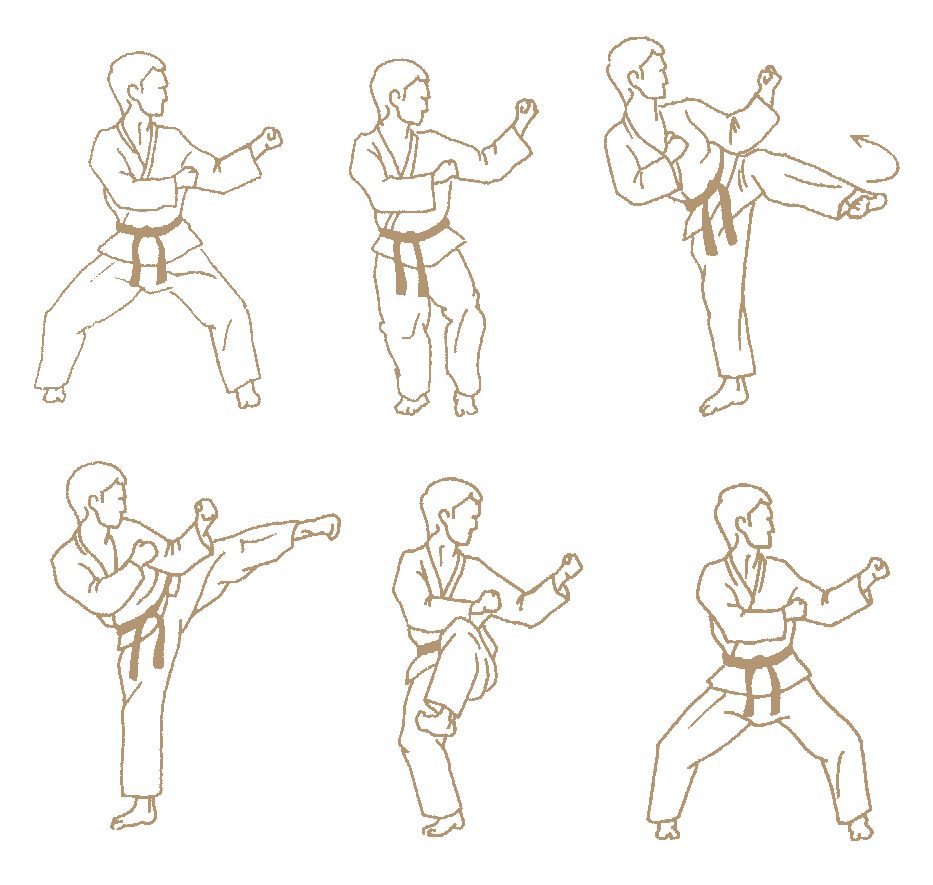 4 Karate Kick Categories